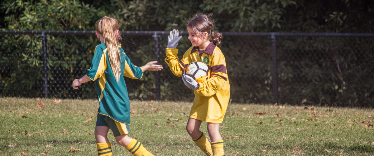 MiniRoos | Mount Colah Football Club